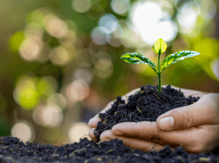 SciAps – Scientific Applications